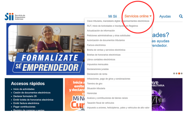 Guía para entender qué es el Formulario 29 (F29) del SII